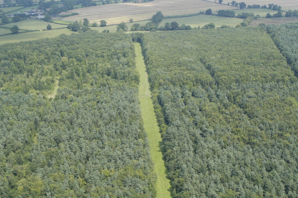 Woodland Management - Wilddeer UK